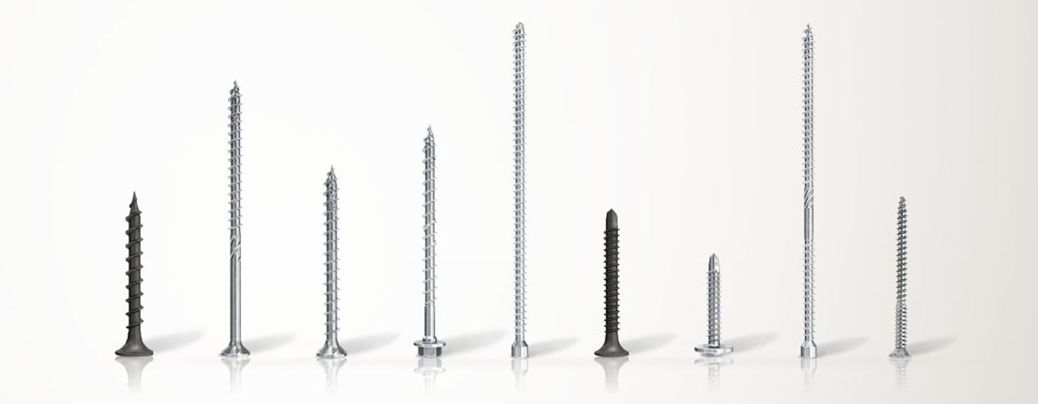 Guida alle Viti - fischer