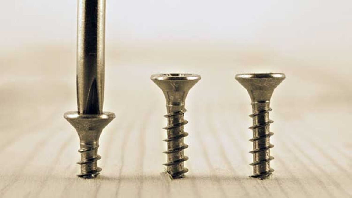 Guida alle Viti - fischer