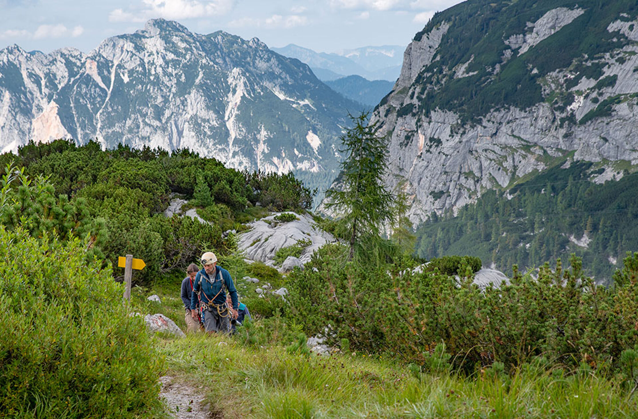 Secure hold in the abyss: When everything hangs on one anchor