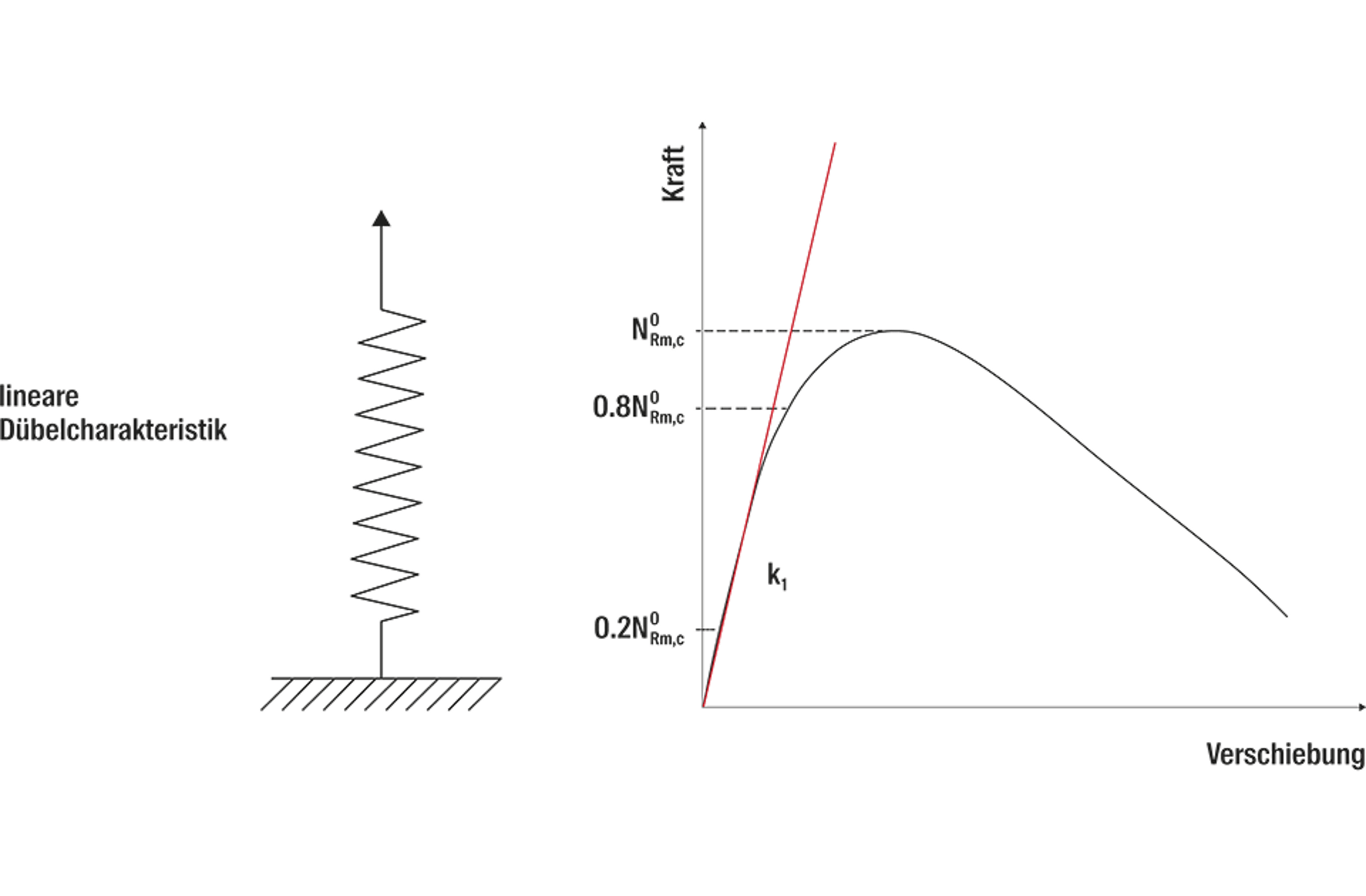 Spring model - fischer international