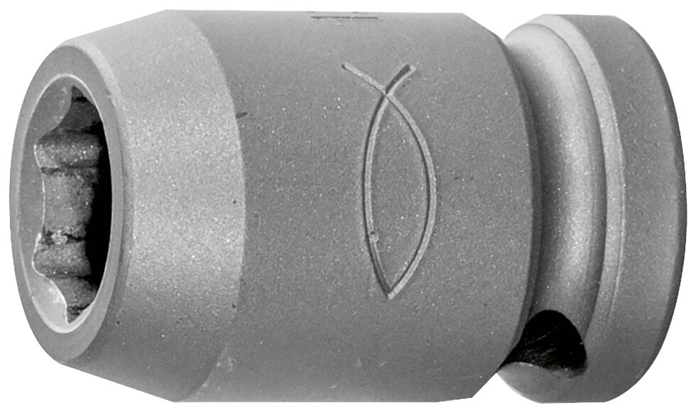 Socket - fischer international