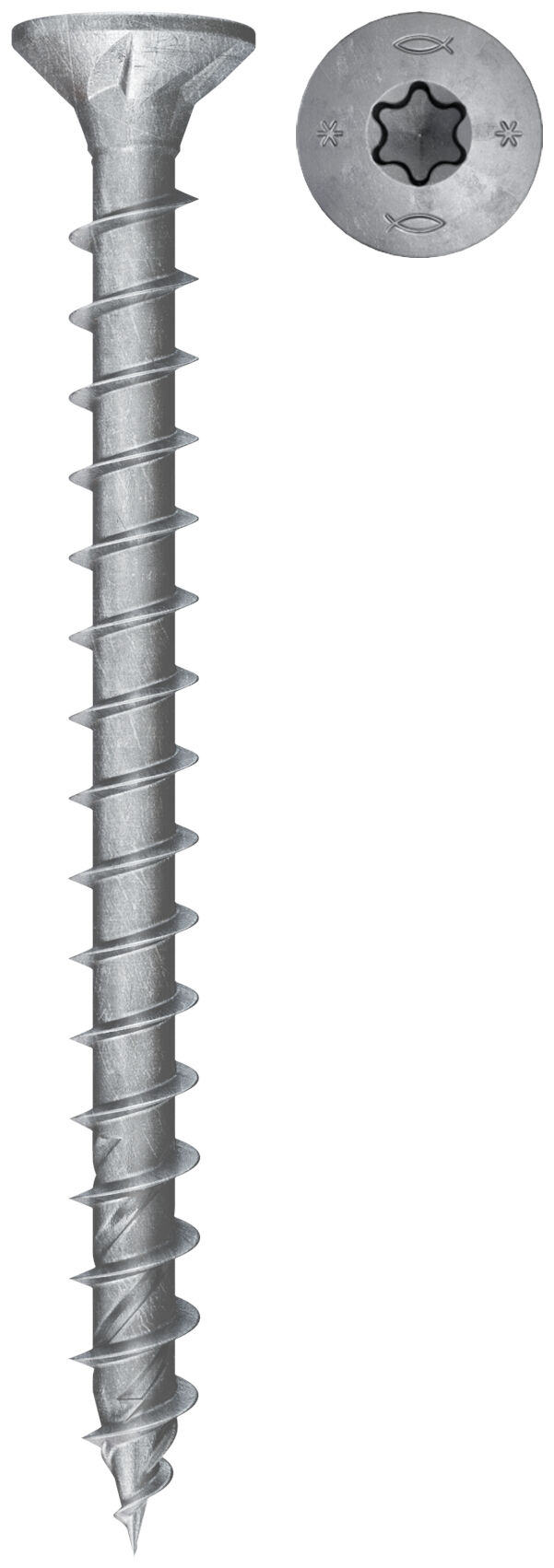 Screws - fischer international